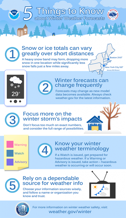 Winter Infographics Winter Infographics
